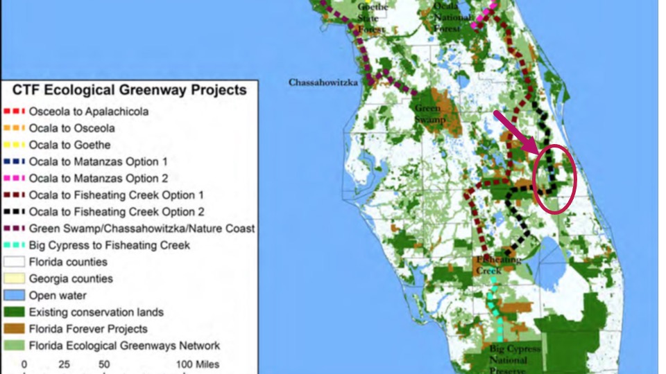 Slide15 – Pelican Island Audubon Society