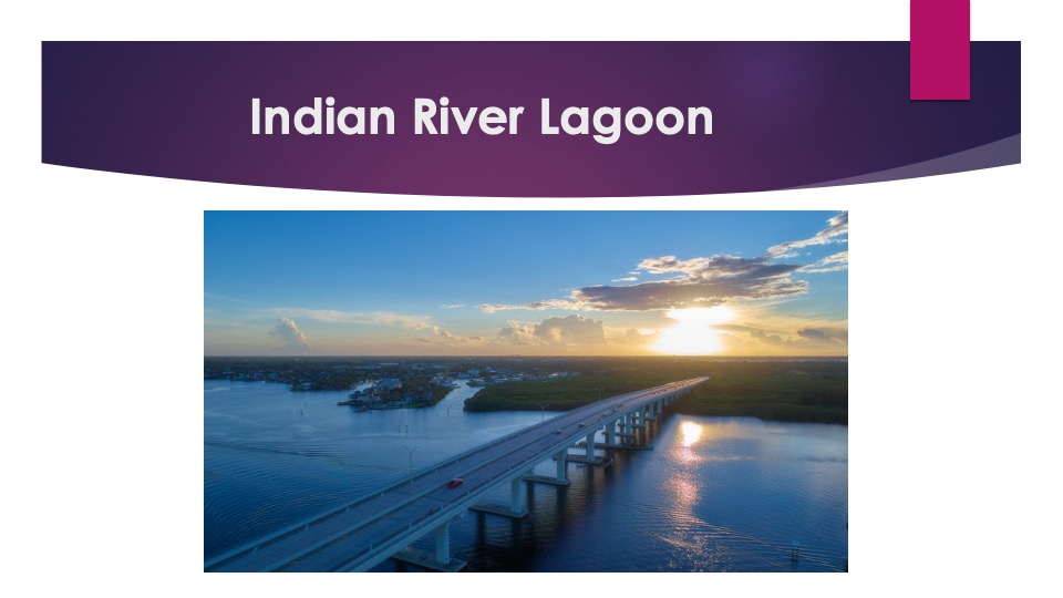 Slide19 – Pelican Island Audubon Society